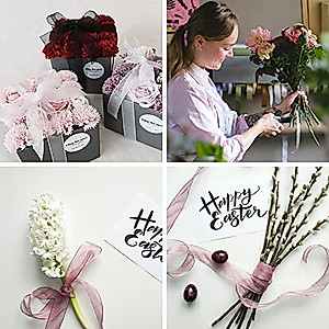 1 Inch Organza Ribbon 300 Yards, Sheer Chiffon Ribbon for Gift Wrapping Decoration, Transparent Tulle Ribbon for Birthday Presents, Cards, Wedding Invitations, Bows Crafts (6 Rolls* 50 Yards)