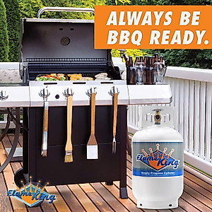 Flame King YSN-301 30 Pound Steel Propane Tank Cylinder with Type 1 Overflow Protection Device Valve DOT and TC Compliant