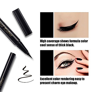 SEILANC Waterproof Liquid Eyeliner Long Lasting&Smudgeproof Eye Liner 2 Packs Precise Eyeliner Pen for All Day with Slim Tip, Black