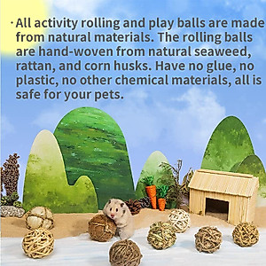 8PCS Small Animals Play Balls, Chew Grass Balls & Rolling Chew Toys for Bunny, Improve Pets Dental Health for Rabbit, Chinchilla, Guinea Pigs, Hamsters, Gerbils, Rats, Mice