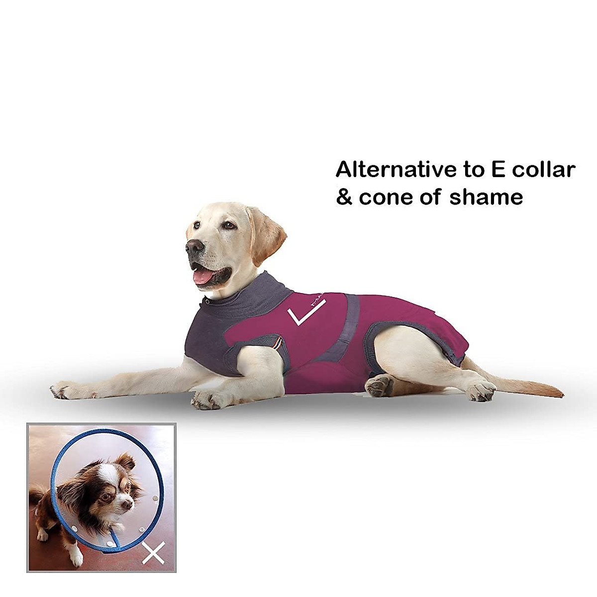 MAXX Dog Recovery Suit – Breathable, Cozy Post-Surgery Suit for Wounds – E-Collar, Cone Alternative (Ruby Red Grey, XS)