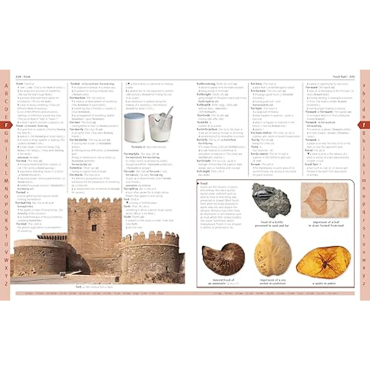 Merriam-Webster Children's Dictionary, New Edition: Features 3,000 Photographs and Illustrations