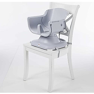 Fisher-Price Baby to Toddler High Chair SpaceSaver Portable Dining Seat & Booster with Washable Deep Tray & Liner, Windmill