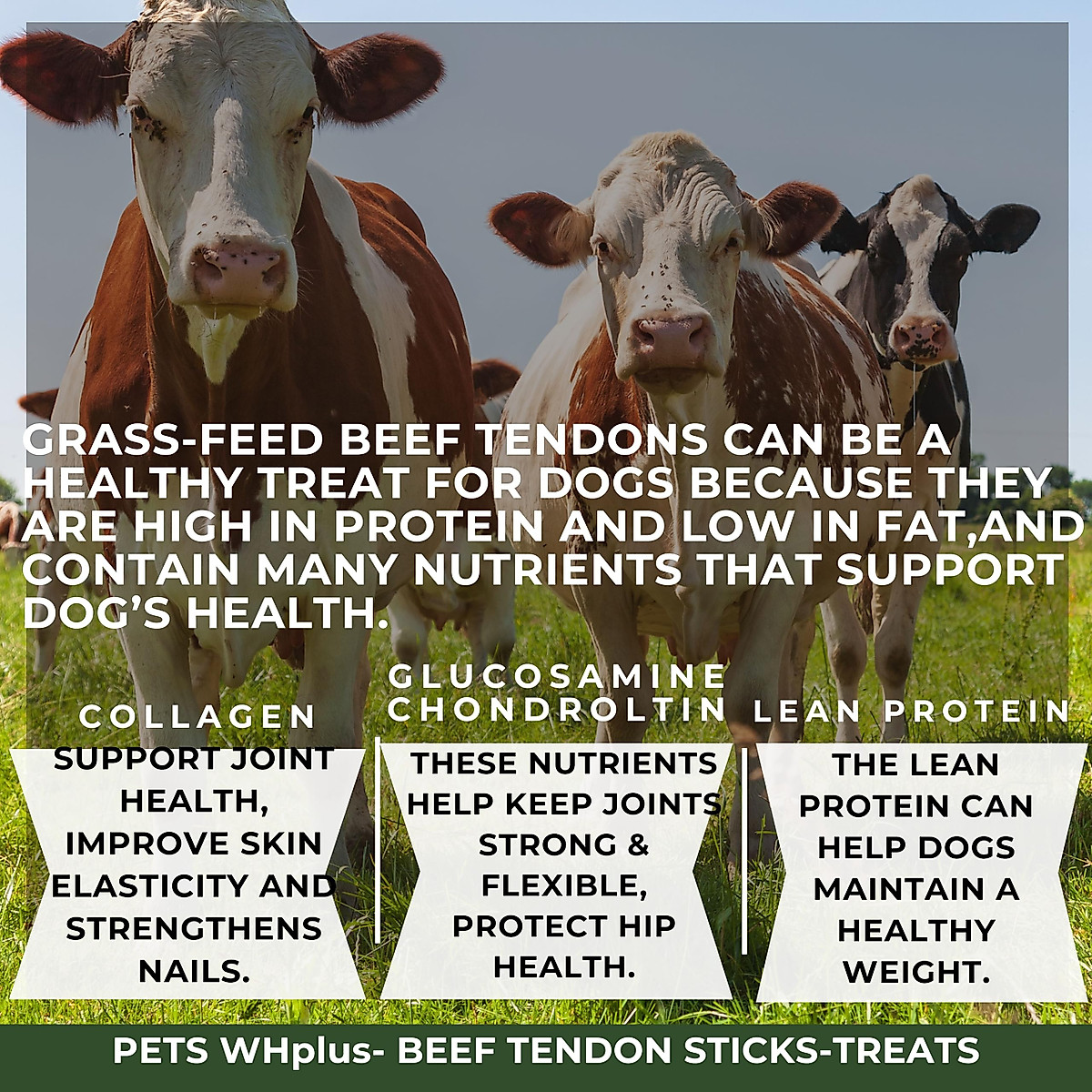 PETS WHplus Beef Tendon Sticks for Dogs,100% Natural Dog Treats, 4 oz (113g) Pack, Chews for Dogs, Mixed Lenght Varies 4-7 inches, Grass -Feed Beef-Dental Dog Chews, High in Protein & Collagen.