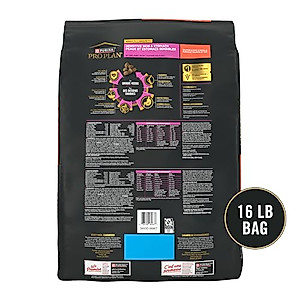 Purina Pro Plan Sensitive Skin and Stomach Dry Dog Food Senior Adult 7 Plus Salmon and Rice Formula - 16 lb. Bag