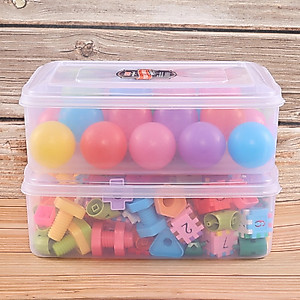 Sadstory 11 Quart Clear Plastic Storage Containers with Lid, Plastic Storage Bin, 2 Packs