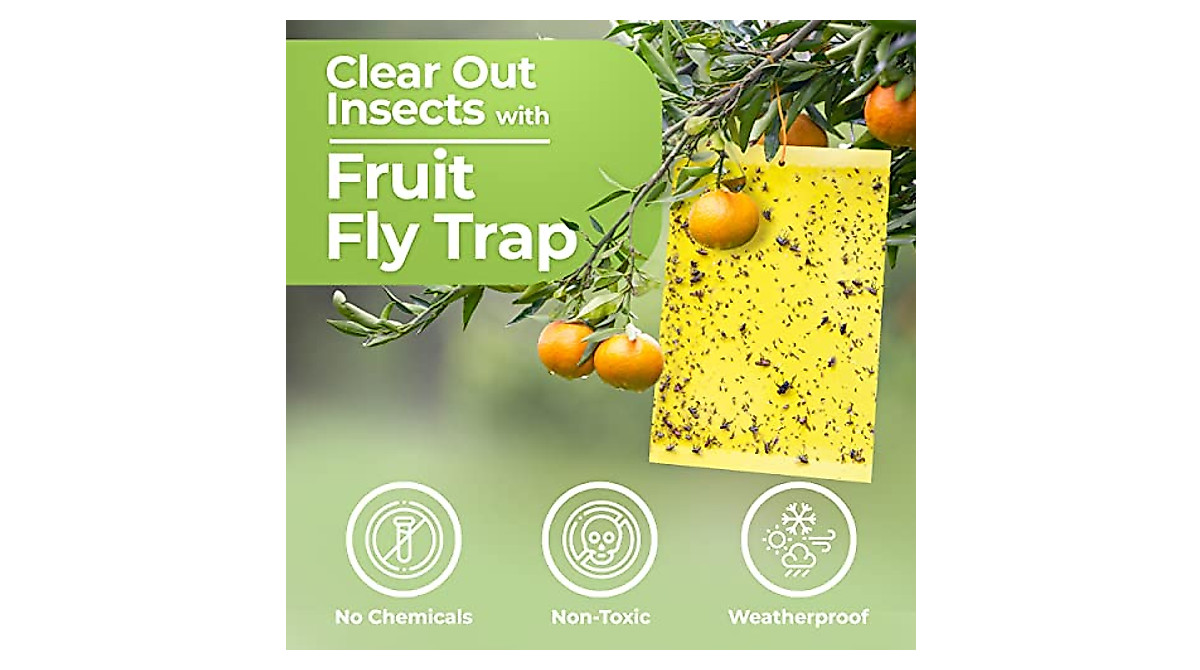 Effective Fruit Fly Trap - 20 Pack Sticky Traps for Home