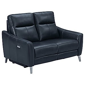 Coaster Home Furnishings Derek Upholstered Power Loveseat and Blue