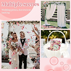 52 Pack Biodegradable Confetti, Dried Flower Petals, Real Pink Rose Petals for Weddings, Flower Girl, Valentine's Day, Wedding Send Off Ideas, Flower Girl Dinner Table Centerpieces