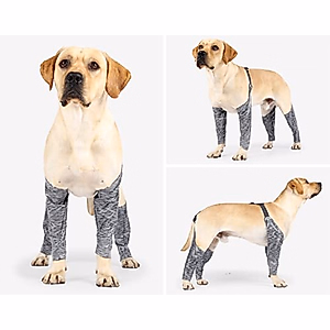Dog Pants to Prevent Licking for Small Medium Large Breeds, Adjustable Dog Leggings, Leggings for Pets Grey 2X-Large
