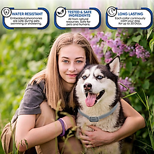 TopSum Calming Collar for Dogs: Premium Dog Calming Collar - Calming Collars for Dogs - Pheromone Collar for Dogs - Calming Dog Collar - Dog Anxiety Relief, 4 Pack (Light Gray)