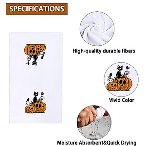 Halloween Black Cat Kitchen Dish Towels, 18 x 28 Inch Halloween Boo Pumpkin Holiday Tea Towels for Cooking Baking Set of 2