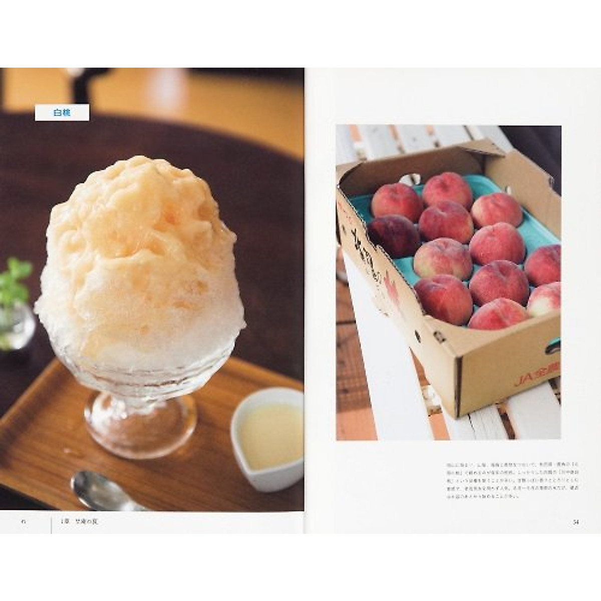 12 months of shaved ice shop ?? ISBN: 4072796409 (2012) [Japanese Import]
