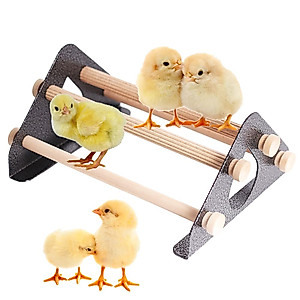 Baby Chick Perch, Durable Natural Wooden Roosting Bar for coop and brooder, Training Chicken Roosting Perches for Mini Baby Chicks, Metal Frame Easy to Assemble and Clean, Fun Toys for Chick