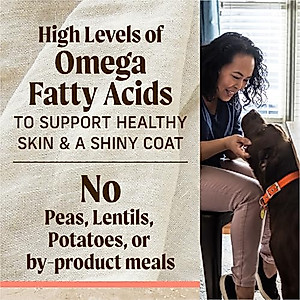 Merrick Healthy Grains Premium Adult Dry Dog Food, Wholesome And Natural Kibble With Salmon And Brown Rice - 12.0 lb. Bag