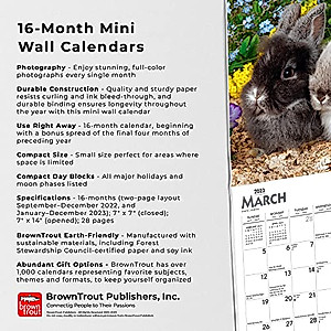 Honey Bunny | 2023 7 x 14 Inch Monthly Mini Wall Calendar | BrownTrout | Domestic Small Cute Animals