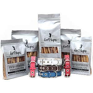forPups Regular Bully Sticks (Half Pound - 6 Inch) (8 oz Pack) - All Natural, Grass-Fed, Non-GMO (6") (0.5 lb) 100% Beef Pizzle Dog Chews, Fully Digestible, Best Dental Treats