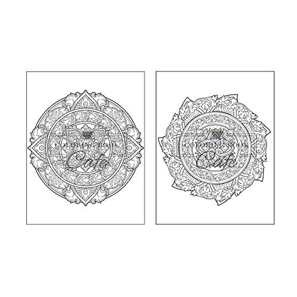 125 Mandalas: An Adult Coloring Book Featuring 125 of the World’s Most Beautiful Mandalas for Stress Relief and Relaxation (Mandala Coloring Books)