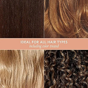 DAE Signature Shampoo - Cleanses & Hydrates Dry Hair & Scalp (10 oz.)