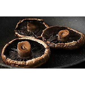 100 Grams of Portobello Mushroom Spawn Mycelium to Grow Gourmet Mushrooms at Home or commercially - G1 or G2 Spawn