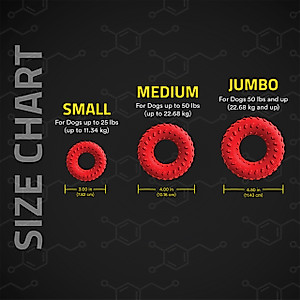 Playology Dual Layer Ring Toy for Medium Dogs up to 50lbs | Engaging All-Natural Beef Scented Durable Dog Chew Toy for Power Chewers, Easy to Clean, Interactive & Non-Toxic