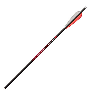 BloodSport Hunter Precise Durable Carbon Hunting Arrow for Crossbow - 22" Length, 300 Grains, 300 Spine.003 Straightness.300 I.D.344 O.D, 6 Pack Black