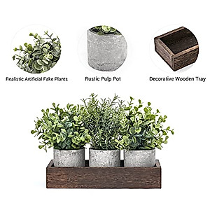 Dahey 3 Pack Mini Potted Artificial Eucalyptus Fake Plants with Wood Tray Centerpiece Table Decor, Farmhouse Pulp Flower Pots Greenery Home Decoration for Coffee Table Dining Room Office Kitchen