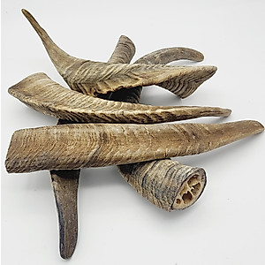 Herders Choice Chews Dried Goat Horns (Bulk Pack Large Horns 1 kg)