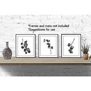 Black And White Wall Art - Eucalyptus Leaves - Botanical Art Prints - Minimalist Pictures - Set of 3-8x10 - Unframed
