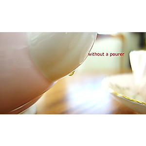 Pearl Metal Tea pots KYUSU Spill prevention made in japan for Tea and Coffee drip