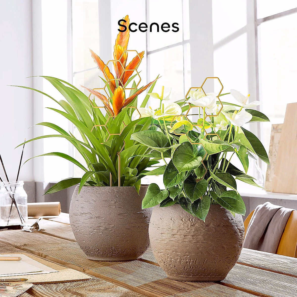 GROWNEER 2 Pcs 14" Small Plant Trellis for Climbing Plant, Honeycomb Metal Potted Trellis with 20 Pcs Cable Ties, 15 Pcs Plant Labels, Plant Support for Flower Stem Vines, Golden