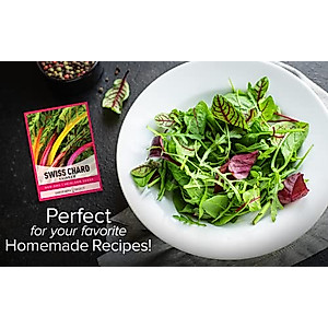 Swiss Chard Seeds for Planting (Rainbow) Non-GMO Vegetable Variety- 5 Grams Seeds Great for Summer, Fall and Winter Gardens by Gardeners Basics