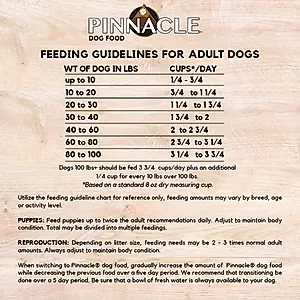 Pinnacle Pet Pinnacle Turkey & Pumpkin Dry Dog Food 22 lb, Infused with Broth