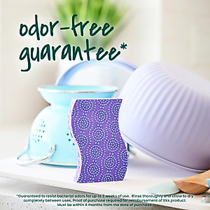 Scotch-Brite Scrub Dots Non-Scratch Scrub Sponge, Rinses Clean, For Washing Dishes and Cleaning Kitchen, 6 Scrub Sponges