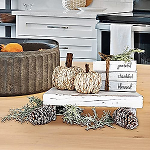 Farmhouse Wood Riser - Rustic White Wooden Rectangular Pedestal Stand Display for Serving Tray - Decorative Plant, Mug and Centerpiece Decor Holder for Kitchen, Bathroom, Countertop & Coffee Bar