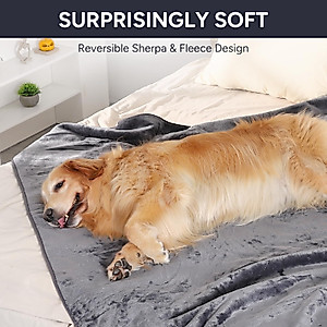 Walverdant Waterproof Dog Blanket for Large Dogs, Dog Bed Cover for Bed Couch Sofa, Liquid Pee Proof Pet Blanket Washable, Soft Reversible Sherpa Fleece Blanket Furniture Protector（Gray, 80"x 60"）
