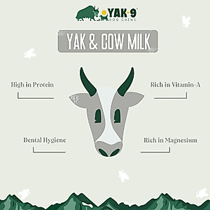 Yak9 Cheese Dog Chews, High Protein Dog Treats, Natural, Rawhide Free, Non GMO, Long Lasting Dog Chews with Vitamins & Minerals, Dog Treats for Small Breeds Under 30 Lbs, Yak & Cow Milk, 1 Piece