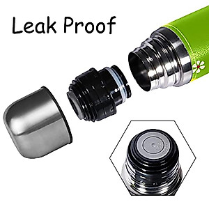 Insulated Water Bottle Stainless Steel Water Bottles Metal Water Bottle, Spring Ladybug Flower Leaves