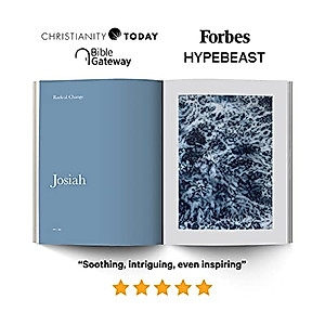 The Good and Beautiful Bible Study: Experiencing Stories From the Bible and What It Means for Our Lives Today