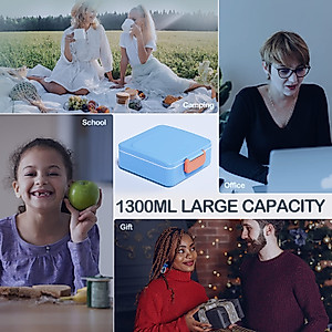 Homuserr 1300ML Lunch Container, 4-Compartment Microwave and Dishwasher Safe Bento Box for Kids, Sealing Strip Design Adult Lunch Box, No BPAs, No Chemical Dyes