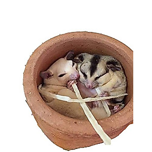 1 Sachet Sugar Glider, Hamster, Squirrel, Hedgehog, Chinchillas, Rabbit, Ferret, Small Exotic Pet Food Supplies Fish Snack 120 g. + 10% Bonus = 138 g.