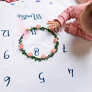 Happy Little Bubs - Baby Girl Milestone Blanket - Baby Blankets for Girls - Baby Monthly Milestone Blanket Girl - Baby Month Blanket - Milestone Blanket for Baby Girl - Baby Girl Blanket 60''x40''