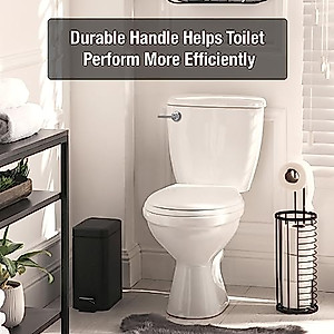 Danco 12052 Toilet Tank Lever, Matte Black