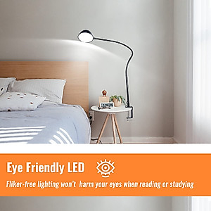 CeSunlight Clamp Lamp, Clip on Lamp, Desk Lamp with Clamp, 12W, 1300 LMS, 3 Color Modes, 10 Brightness Levels, 30 Inches Long Gooseneck Light, Perfect for Sewing, Reading, Home, Office