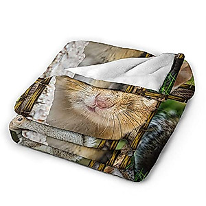 Squirrel Throw Blankets Ultra Soft Flannel Blanket Warm Cozy Couch Sofa Bed Decor for All Seasons