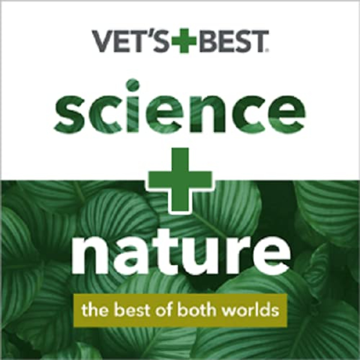Vet’s Best Dog Toothpaste, Teeth Cleaning and Fresh Breath Dental Care Gel Kit
