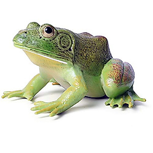Gemini & Genius Tree Frog Realistic Hand Painted Toy Bullfrog Figurine Model Quality Construction Soft Rubber Animals Educational and Role Play Toys for Ages 3 and Up Kids