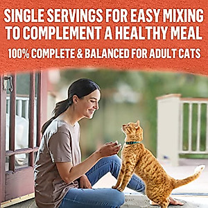 Purina Beyond Natural Cat Food Complement, Mixers+ Digestive Support Wild Salmon & Pumpkin Recipe - (16) 1.55 oz. Pouches