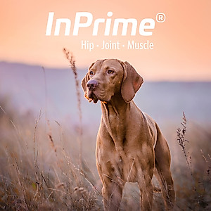 Van Beek Natural Science InPrime Canine - Natural Joint Support for Dogs - Helps Maintain Normal Joint Mobility & Function - Supports Hip and Joint for Dogs - Palatable Dog Joint Care - (60 Count)