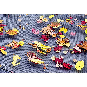 Robelle 451833 Premium Leaf Net for Round Above Ground Swimming Pool Covers, 18 x 33-ft. Oval Pool